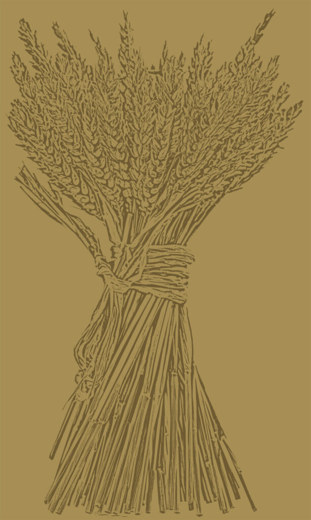 Master Roof Thatchers | Roof Thatching Services | Simply Thatch