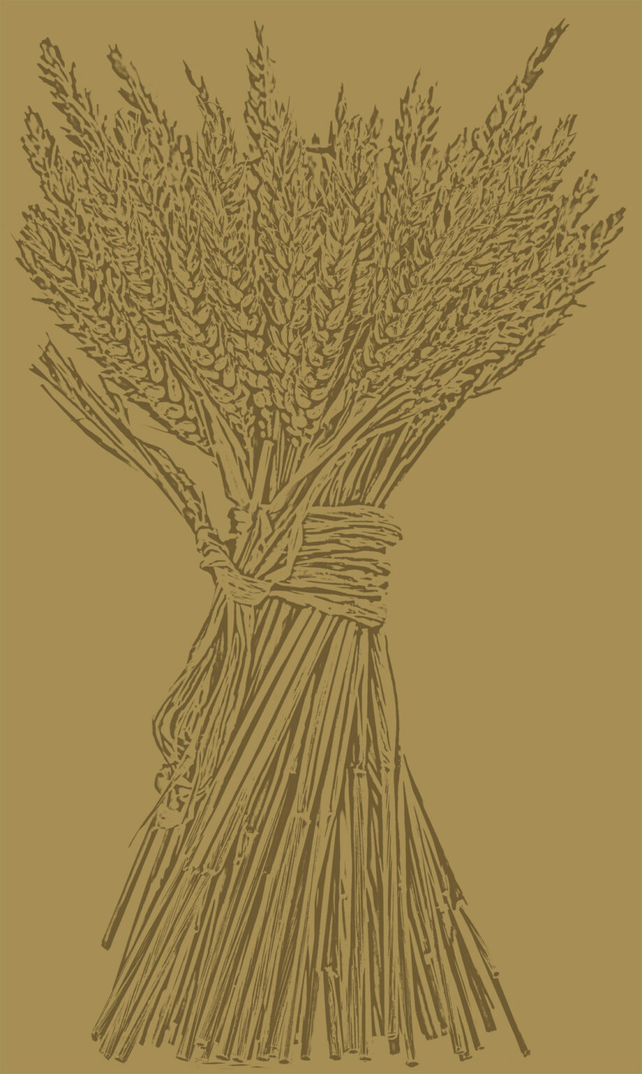 Master Roof Thatchers | Roof Thatching Services | Simply Thatch